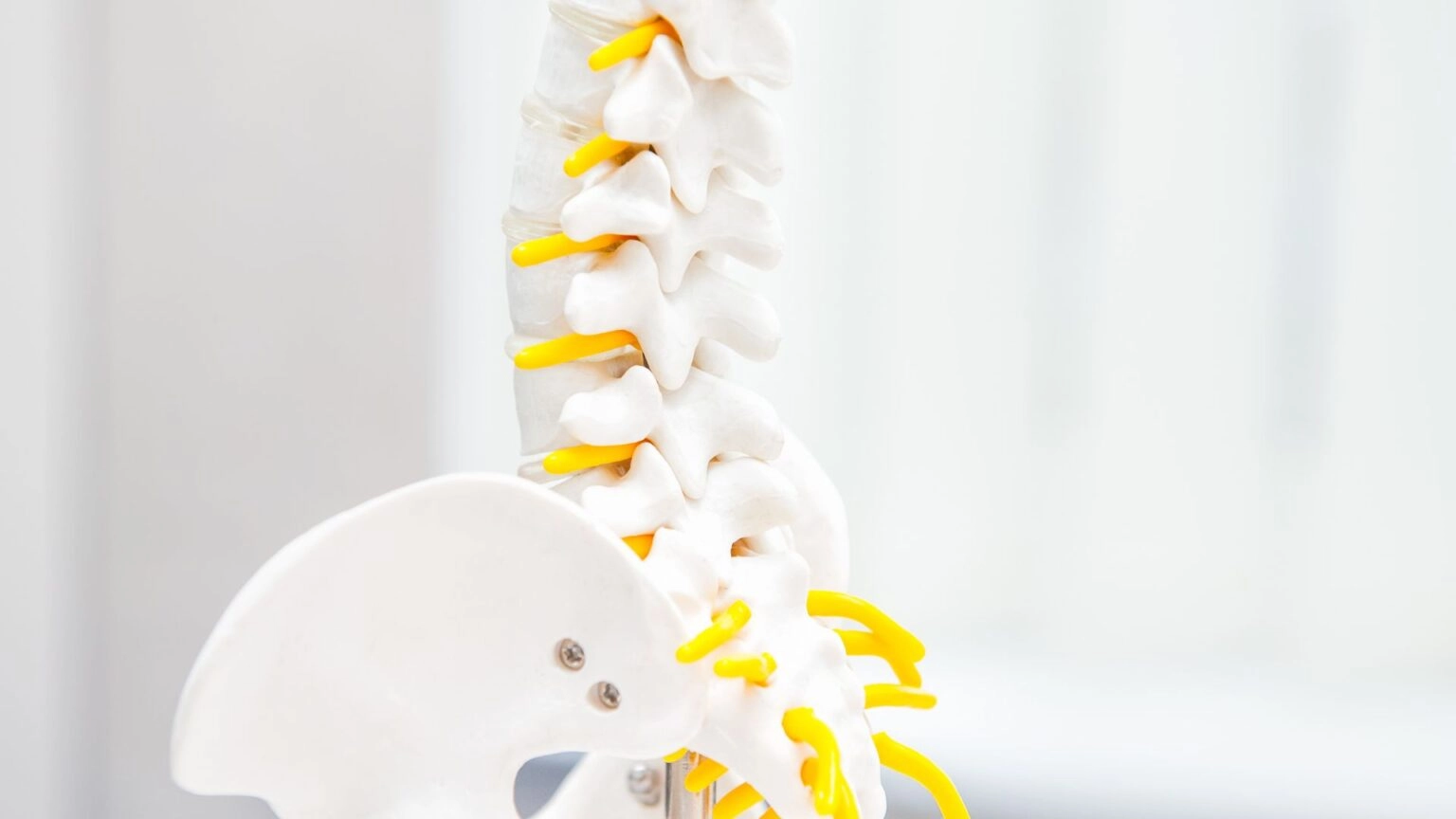 Cervical Degenerative Disc Disease, C5-C6 and C6-C7: Achorage ...